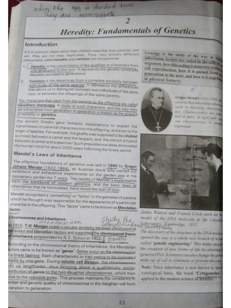 Heredity - Fundamental of Genetics | PDF