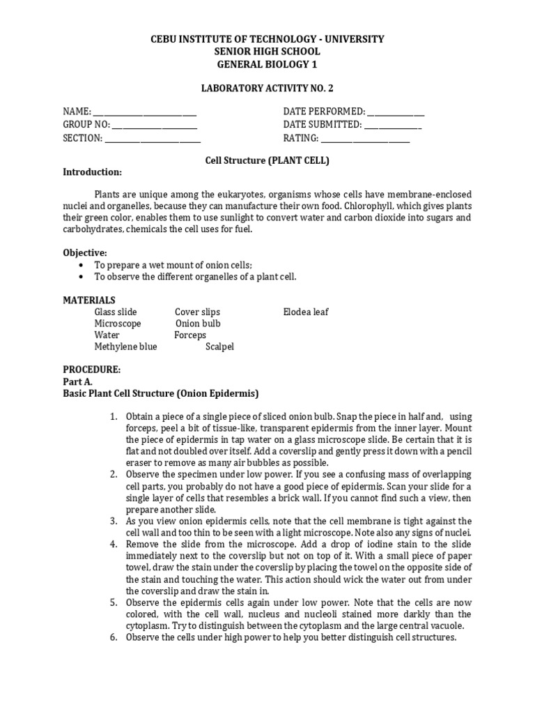 Lab-Activity 2 - Plant Cell | PDF | Cell (Biology) | Staining