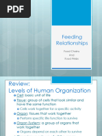 Daintree Rainforest Food Web Overview | PDF