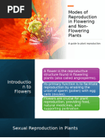 Botany Practical Record Book | PDF | Mitosis | Leaf