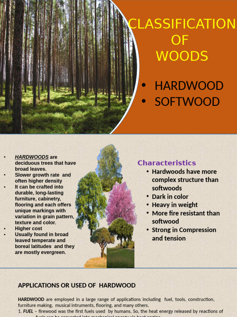 CLASSIFICATIONS-OF-WOODS | PDF | Wood | Trees