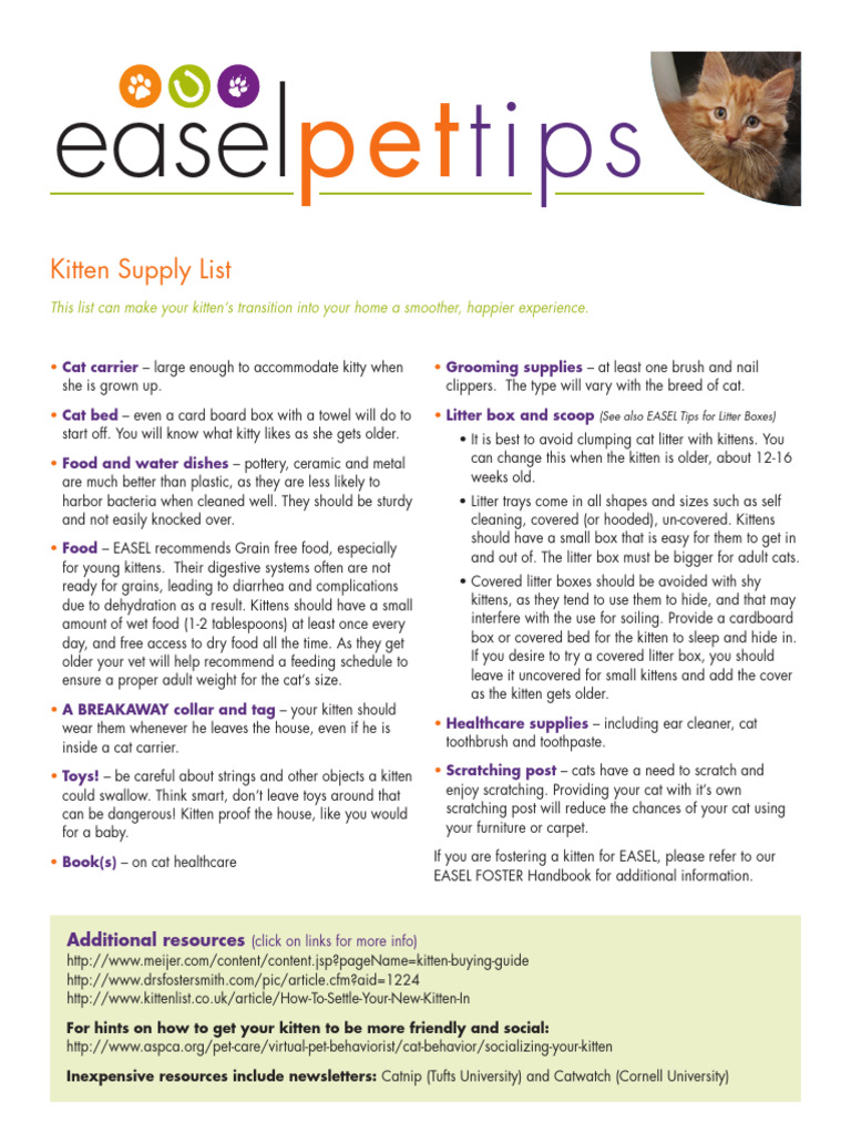 Essential Kitten Supply Checklist | PDF | Cats