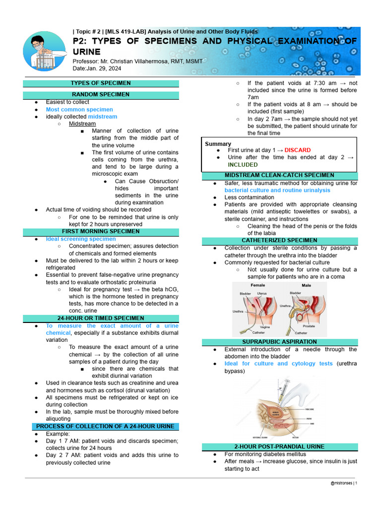 Aubf Compiled | PDF | Kidney | Urinary System