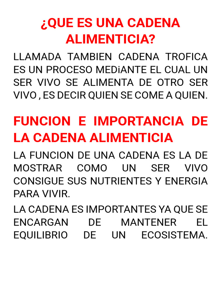 Que Es Una Cadena Alimenticia | PDF | Red alimentaria | Ecología de ...