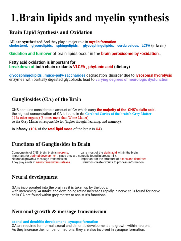 Brain Lipids and Myelin Function | PDF | Neurotransmitter | Chemical ...