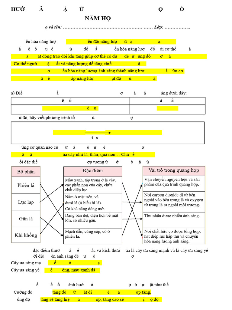 HDOT GKI MÔN KHTN (Sinh) 7 - 2425 - Đáp Án | PDF