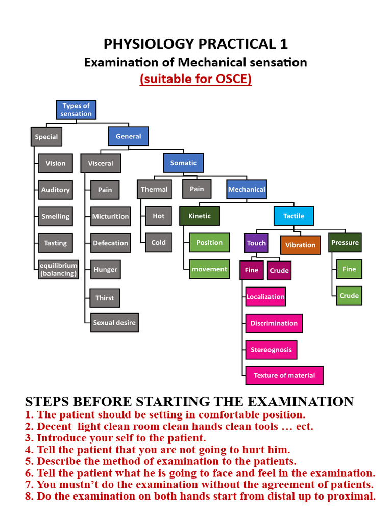 Physio Practical 1 Examination of Mechanical Sensation | PDF | Somatosensory System | Neuroscience