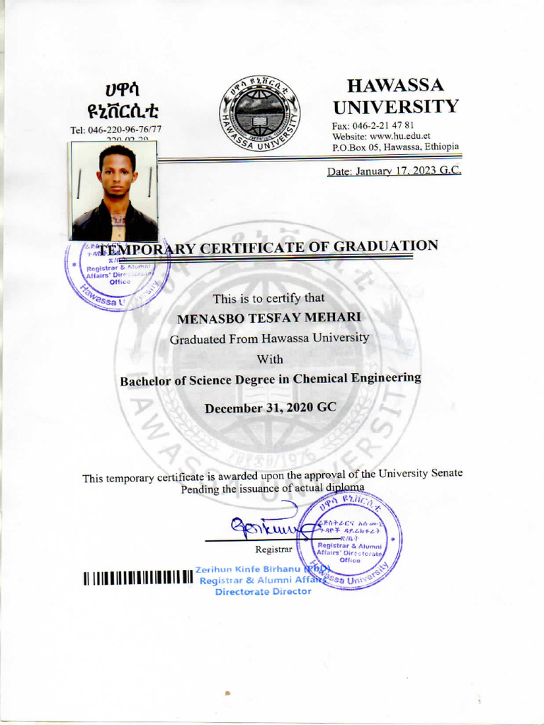 Temporary Degree | PDF