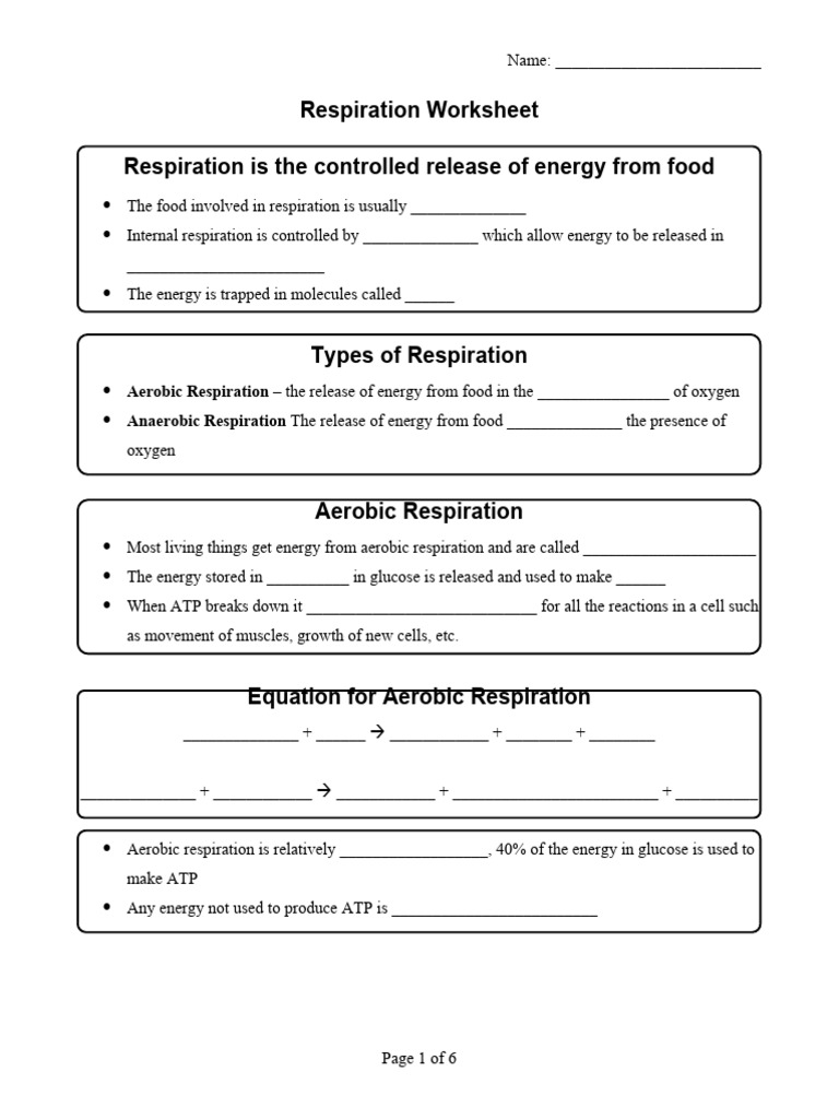 respiration_worksheet_b | PDF | Cellular Respiration | Fermentation