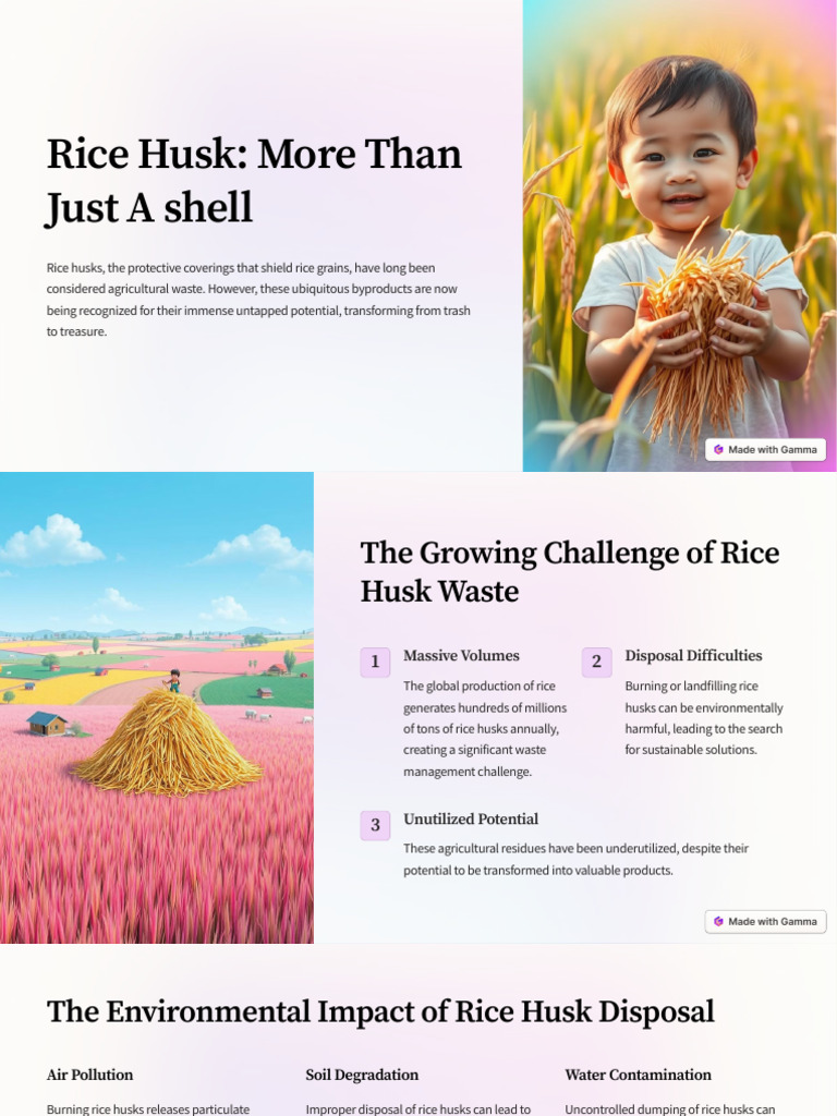 Transforming Rice Husk Waste into Biofuel | PDF | Biofuel | Waste ...