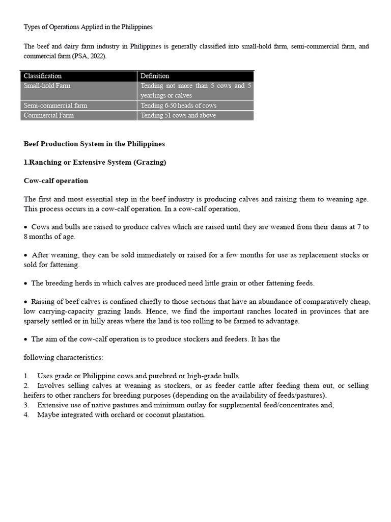 Beef and Dairy Operations in The Philippines | PDF | Livestock | Bovines