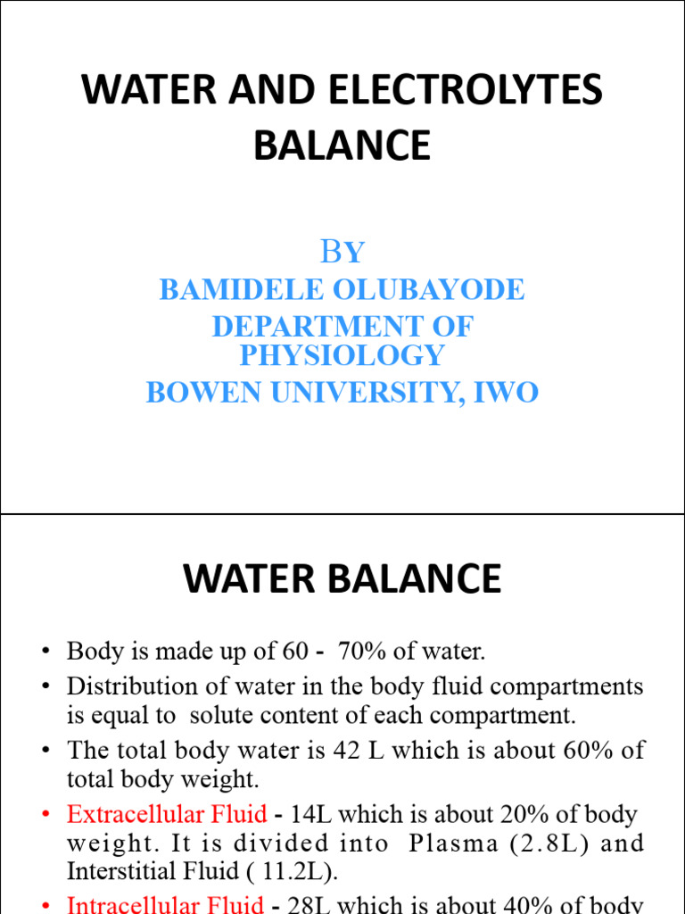 Water and Electrolytes Balance | PDF | Angiotensin | Endocrine System