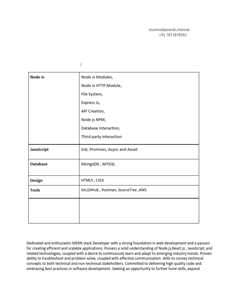 MERN Stack Developer Profile | PDF | Computer Science | Computing