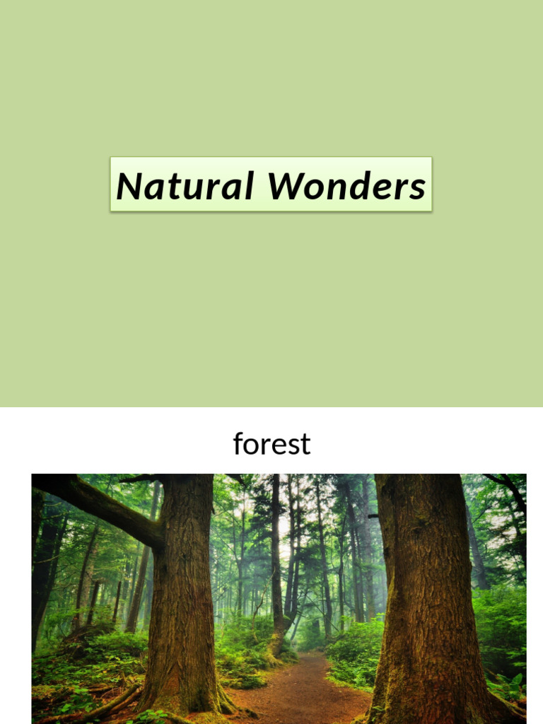 Natural Features | PDF