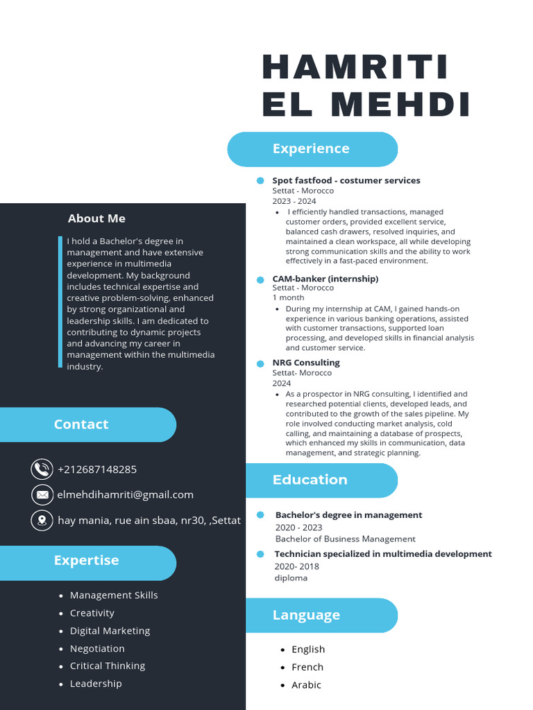 cv de mehdi | PDF | Business | Business Economics