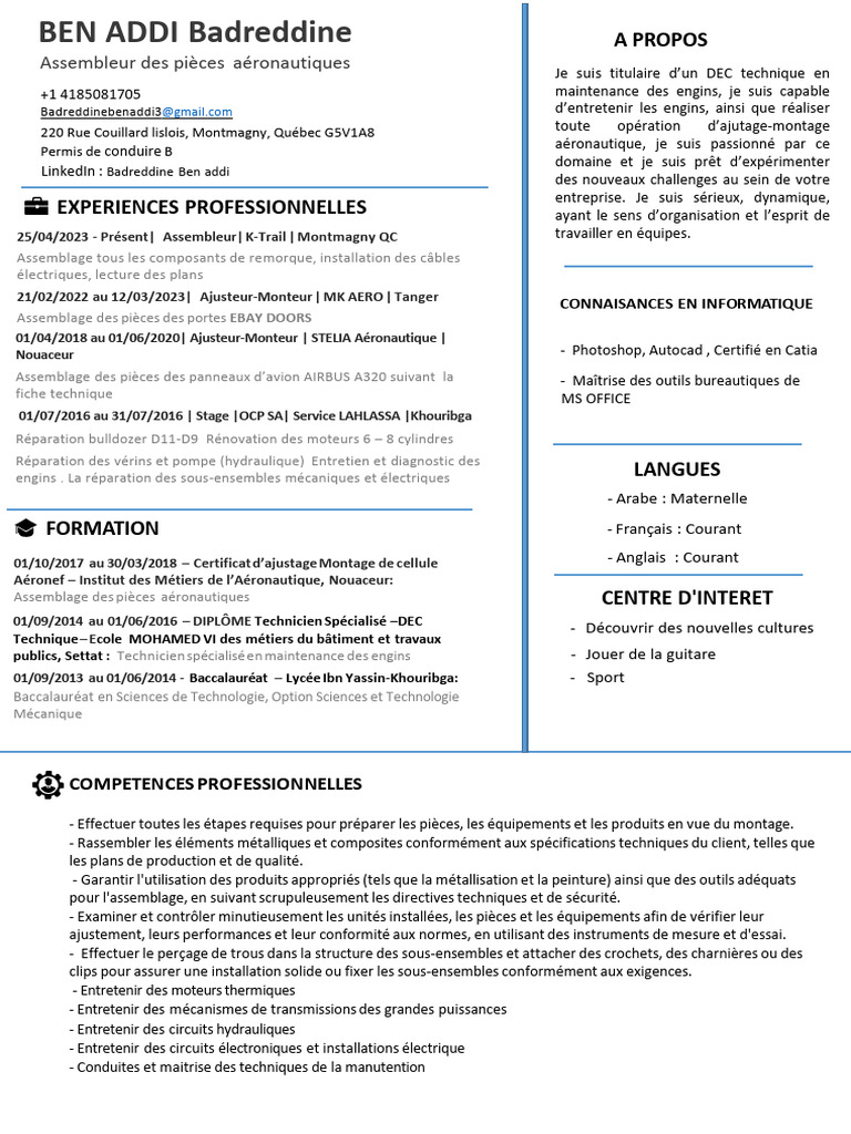 CV Badreddine Ben Addi | PDF