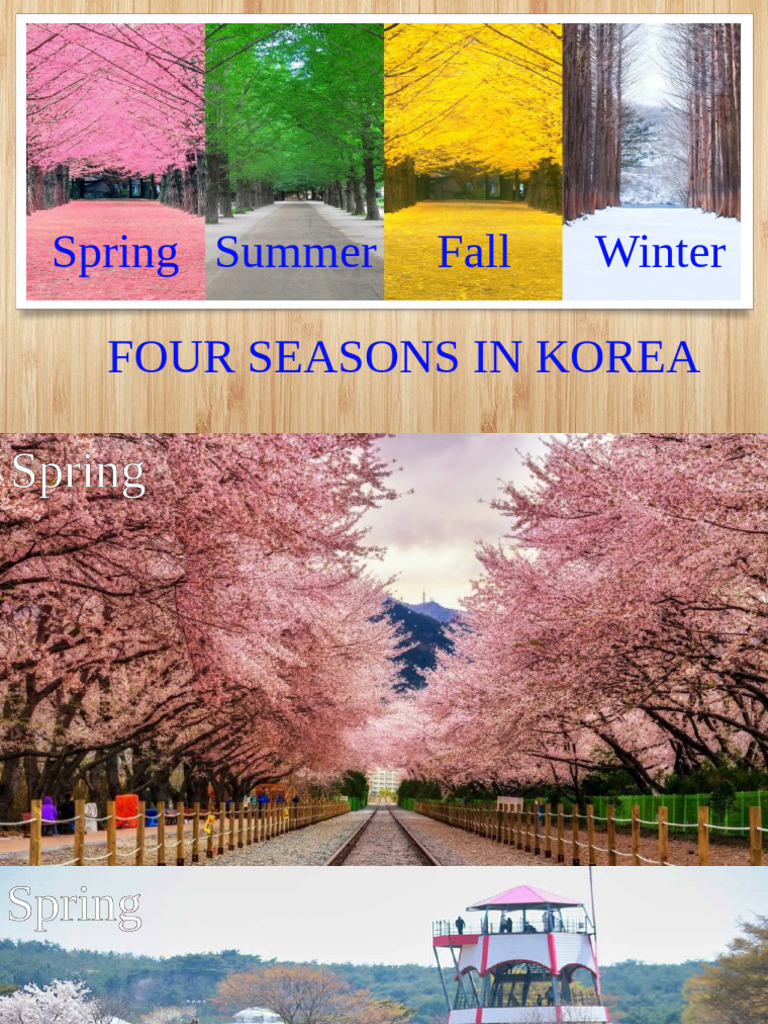 4 Seasons Lesson | PDF
