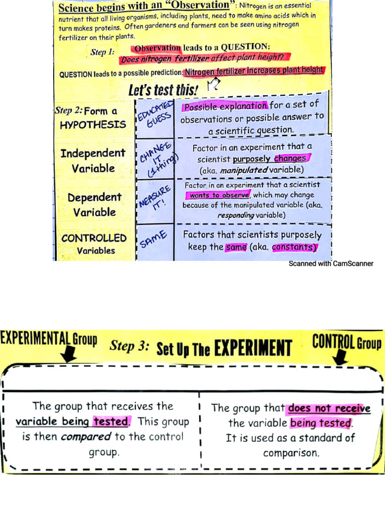 Scientific Method | PDF