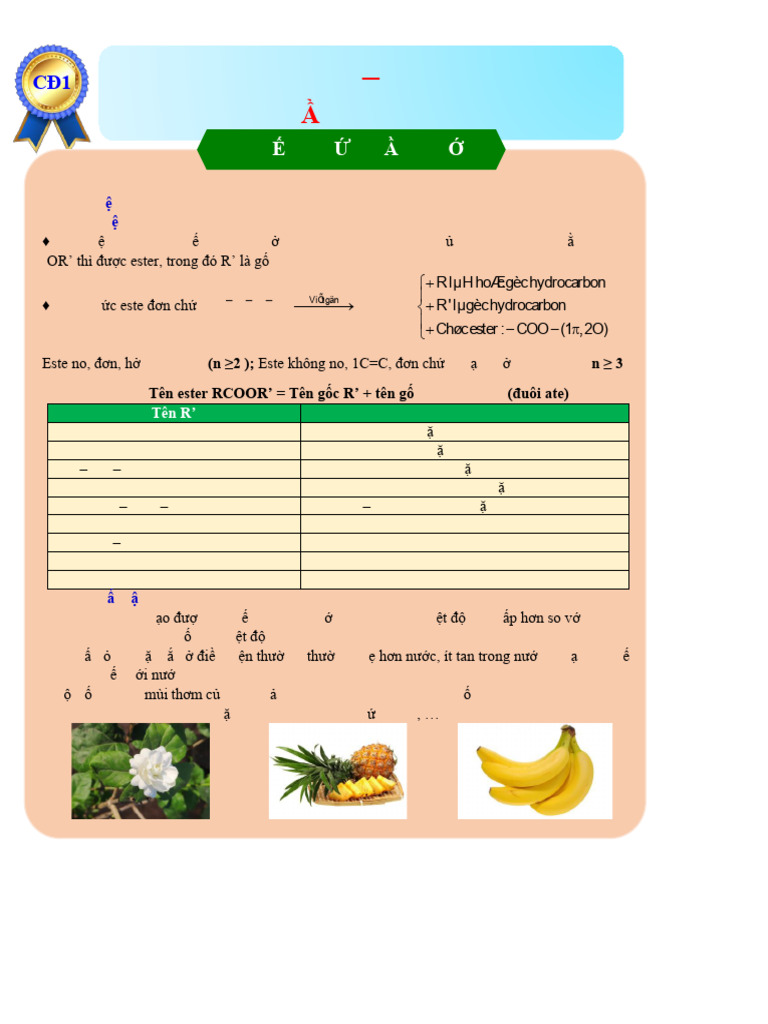 BT Chuong 1 - Ester Lipid - GV Lop | PDF