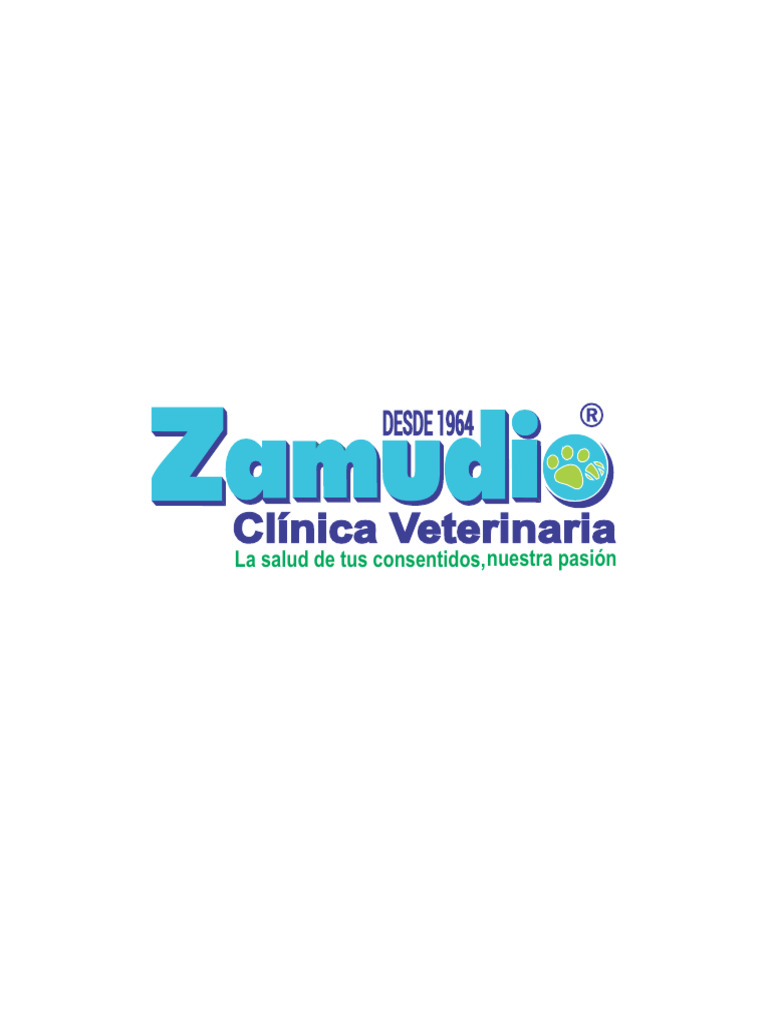 Logo Zamudio 2023 | PDF