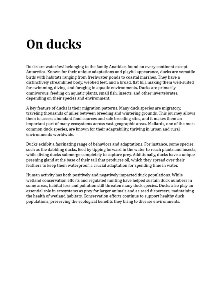 Understanding Ducks: Facts and Habitats | PDF