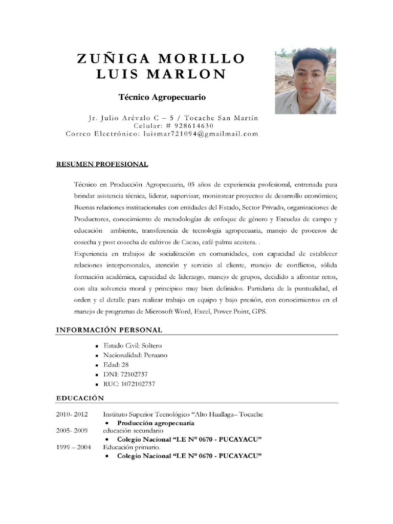 CV - Luis Marlon | PDF