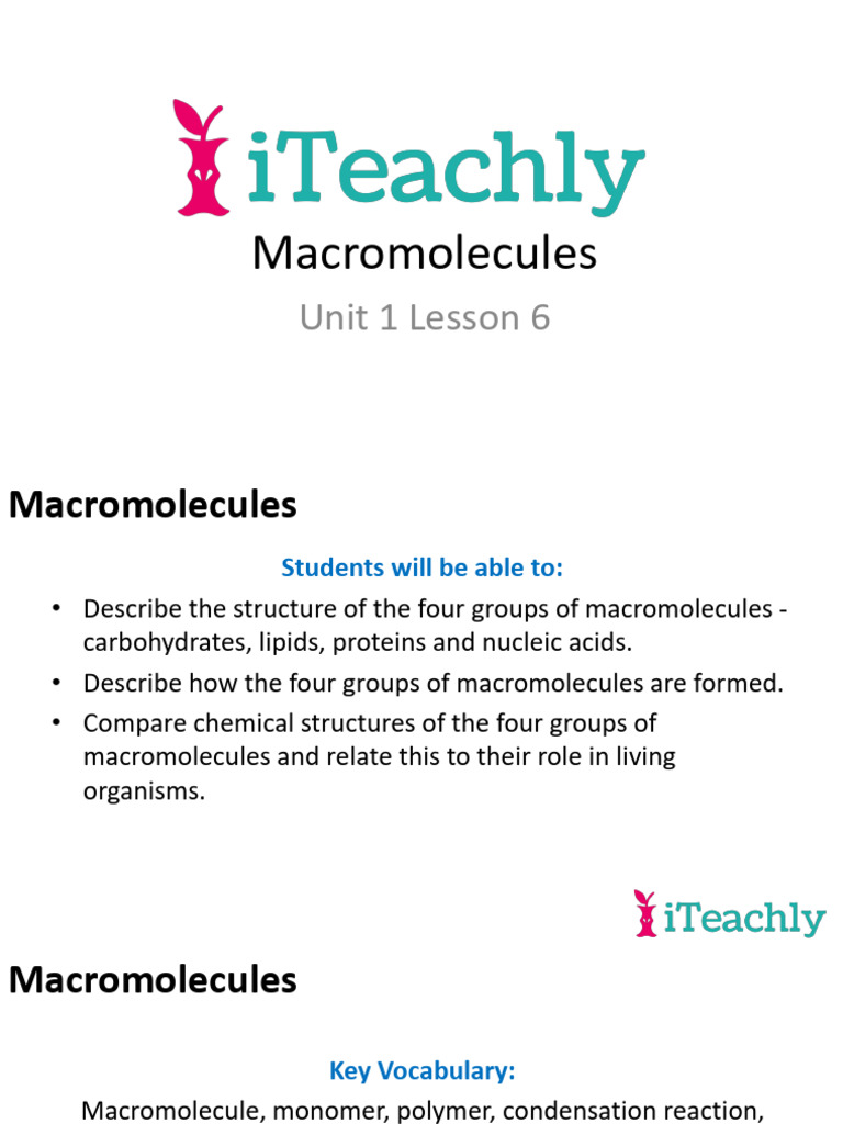 1-6-Slide-Show-Macromolecules | PDF | Macromolecules | Rna