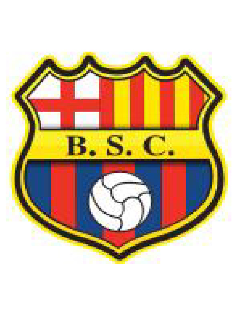 BSC Escudo | PDF