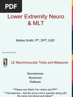 Manual Muscle Testing Knee | PDF | Anatomical Terms Of Motion | Human Leg