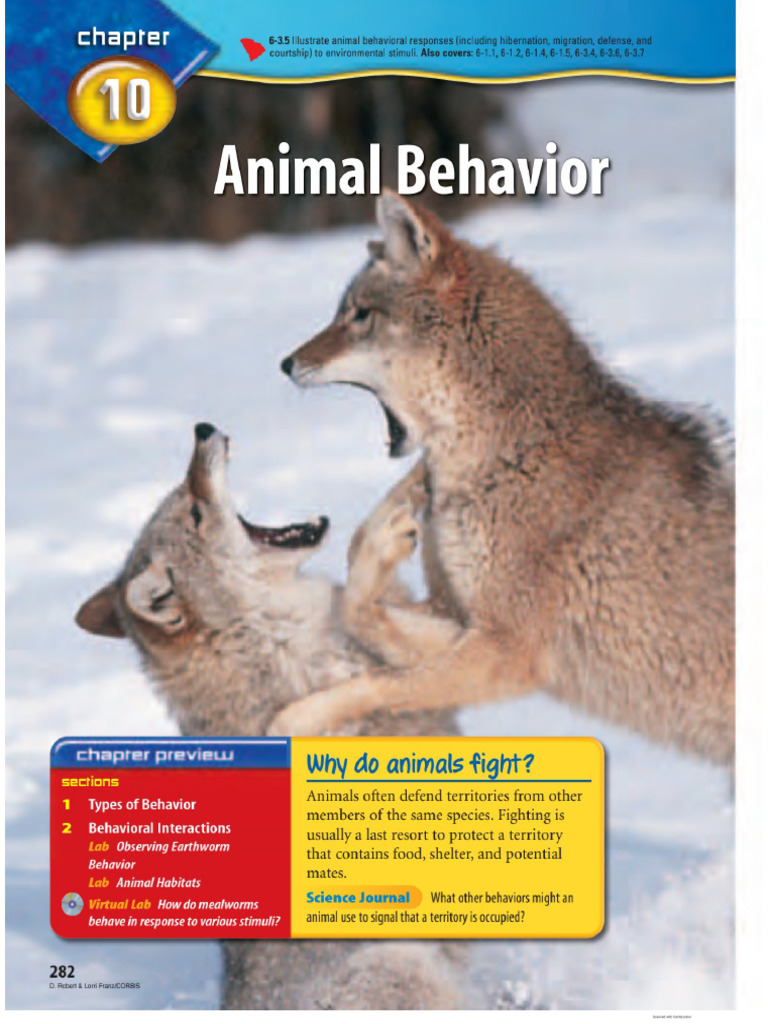 Behavior and Types Chap 10 | PDF