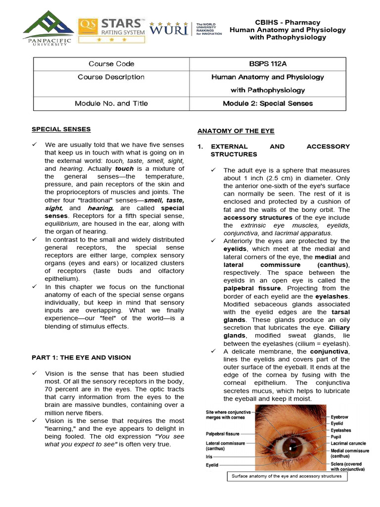 Special-Senses | PDF | Ear | Visual System