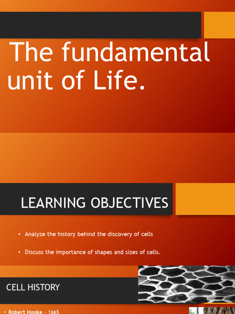NOTEBOOK WORK - CELL The Fundamental Unit of Life | PDF | Cell (Biology ...