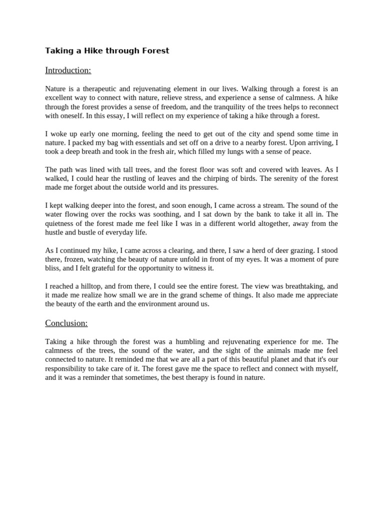 Reflective Blog | PDF