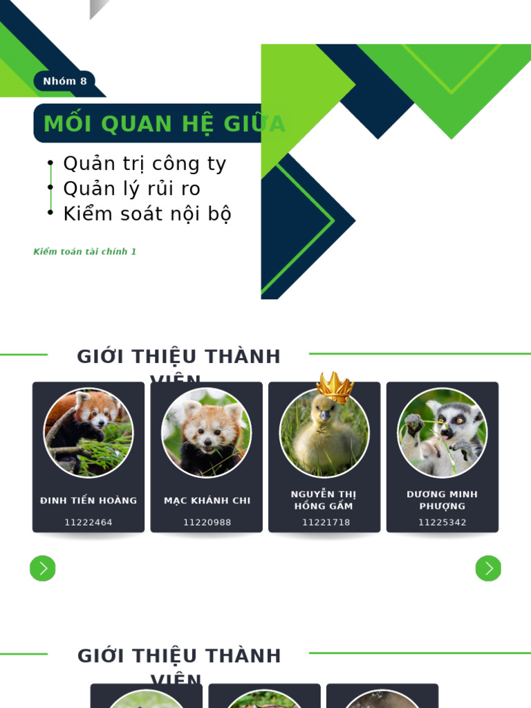 Nhóm 8 - Mqh Quản Trị Cty, Qlrr, Ksnb | PDF