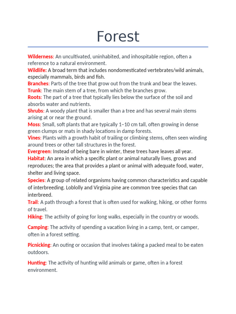 Essential Forest Vocabulary Guide | PDF | Trees | Forests