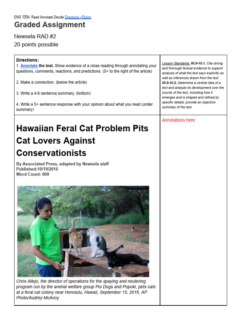 Eng Hamdan 2300707 Rad 2 Tga | PDF | Cats | Animals And Humans