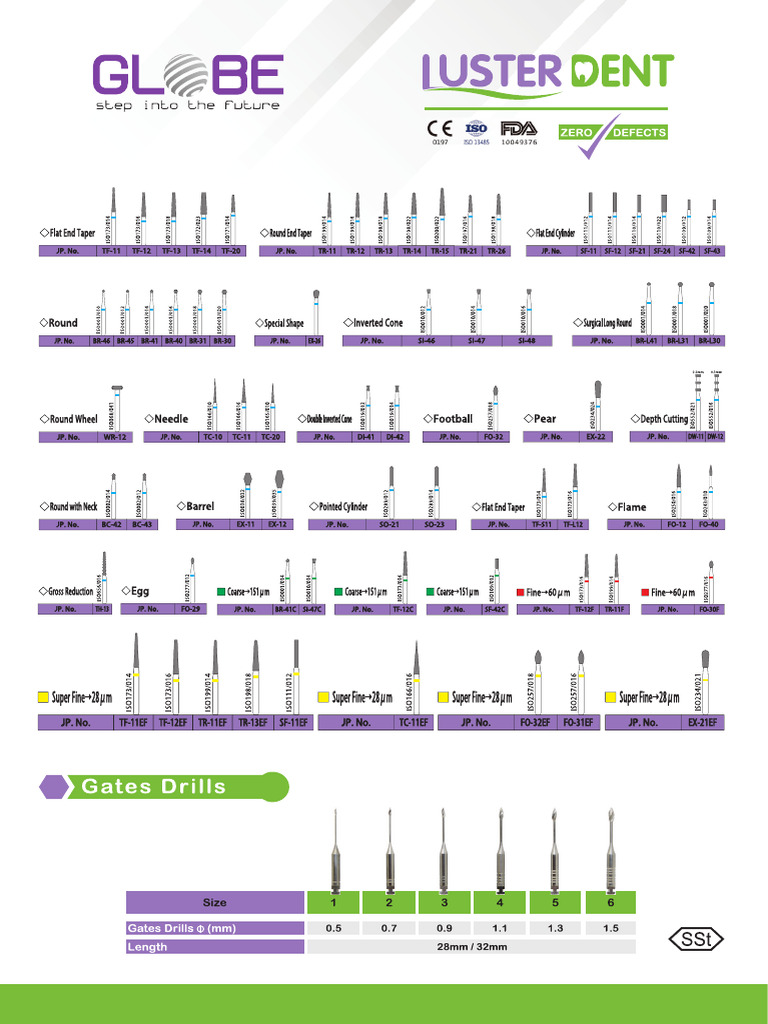 Luster Dent Flyer-2 | PDF
