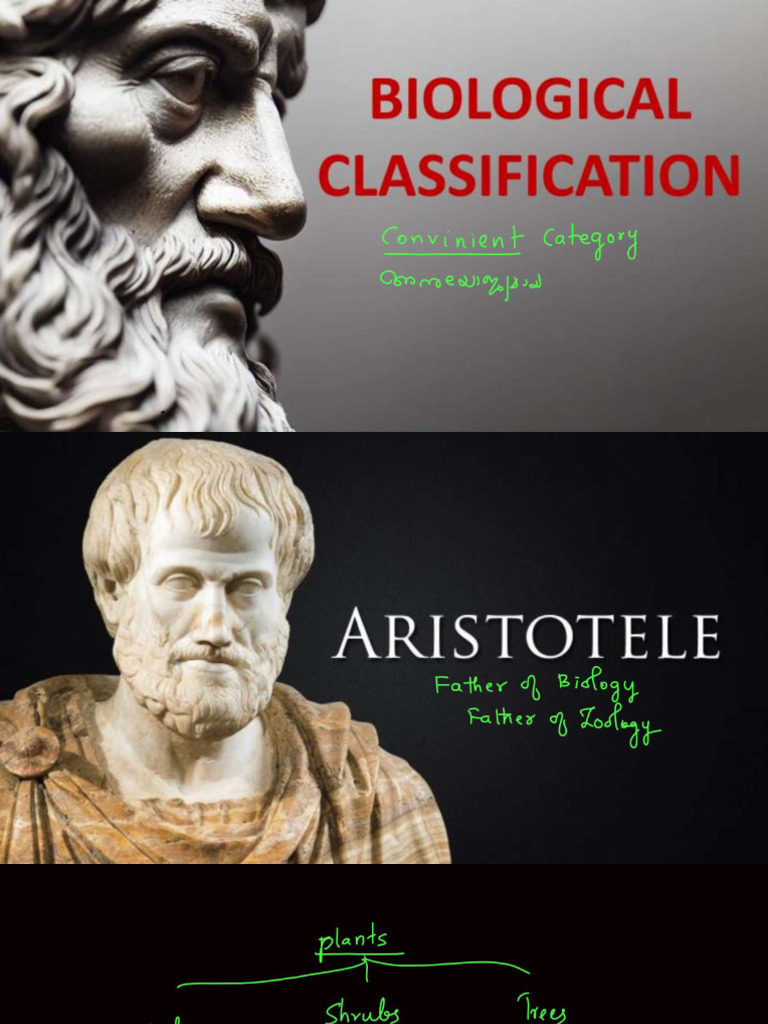 Biological Classification Note | PDF