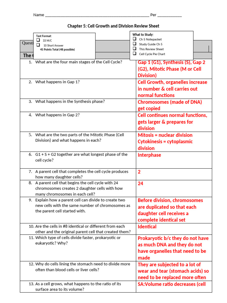 Chapter 5 Review Sheet Answers-4 | PDF | Mitosis | Cell Cycle