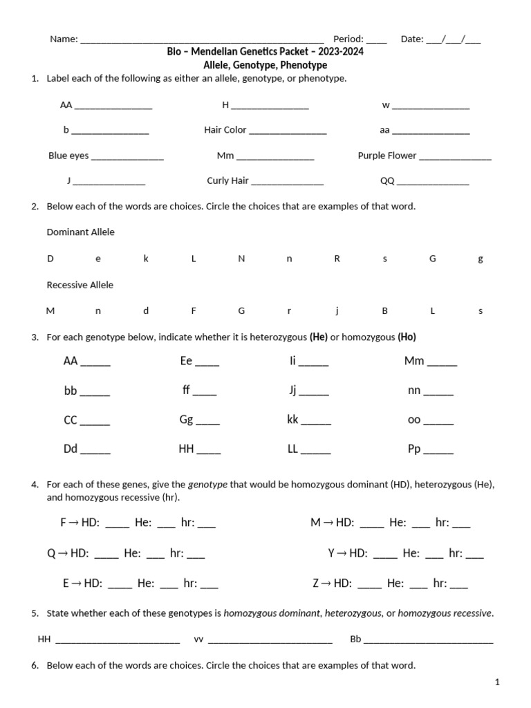 Bio - Mendelian Genetics Packet - 2023-2024 Allele, Genotype, Phenotype ...