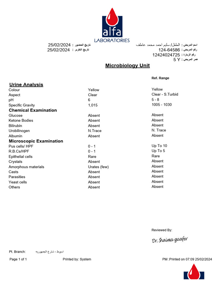 Alfa ResultSubServices 2 | PDF