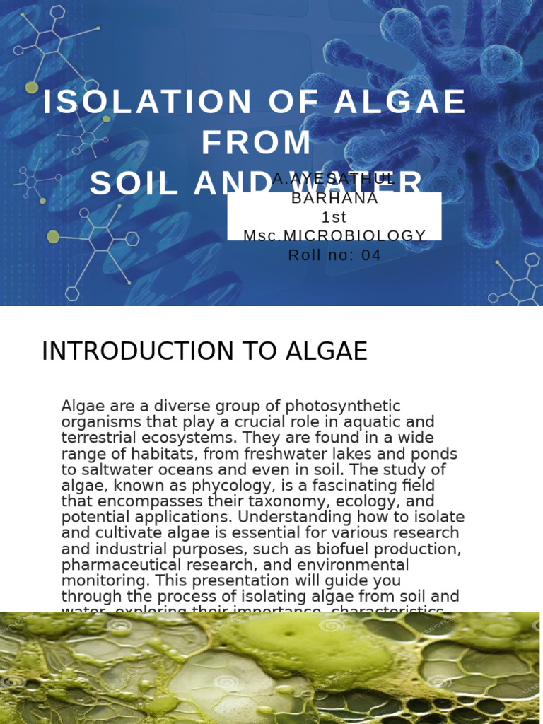 A.ayesathul Barhana (Isolation of Algae From Soil and Water) - 1st MSC Microbiolog | PDF | Algae ...