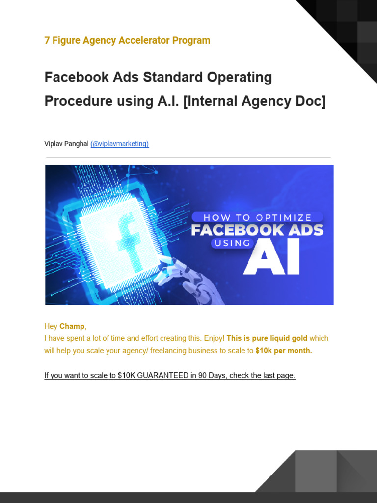 Viplav - Fb Ads Ai Sop | PDF | Target Audience | Copywriting