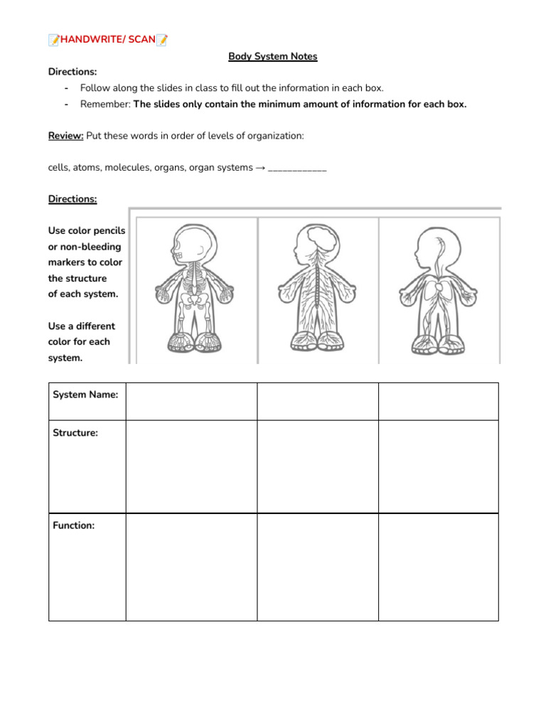 Body Systems Notes | PDF | Wellness
