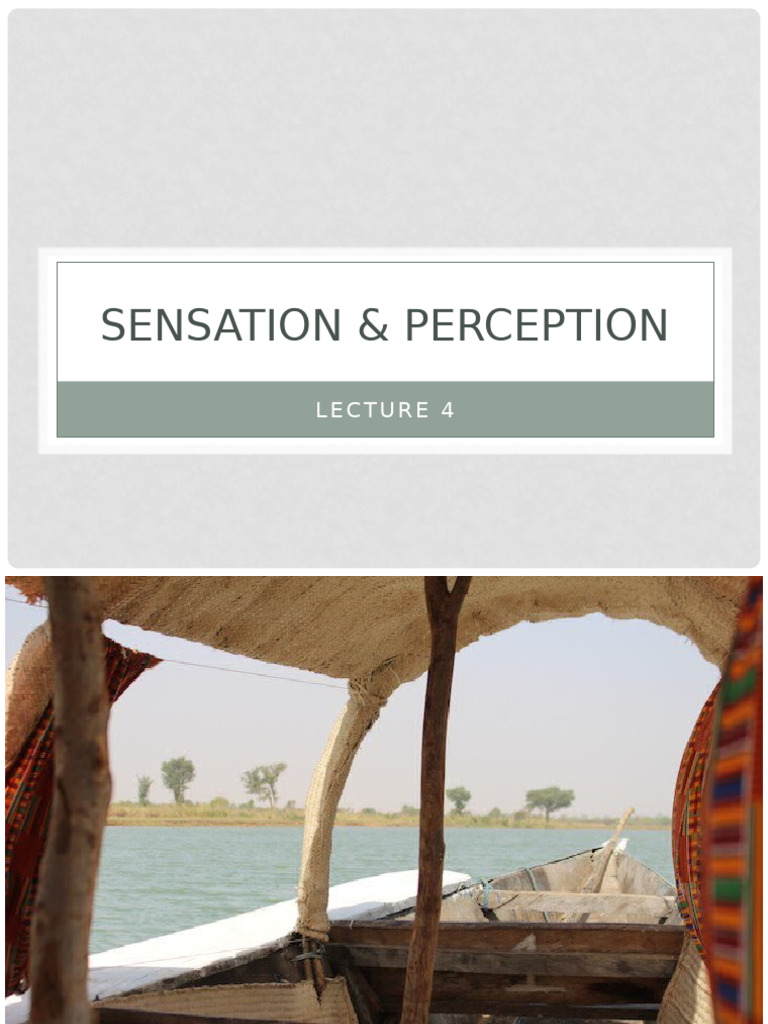 Lecture 4 - Sensation Perception & Learning | PDF | Classical ...