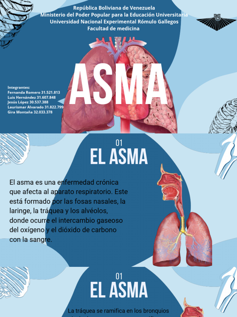 Asma: Causas, Síntomas y Diagnóstico | PDF | Asma | Sistema respiratorio