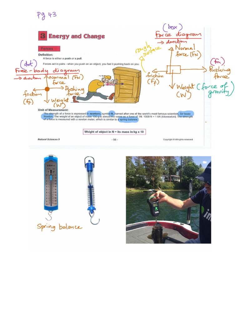 Forces Exam Fever | PDF