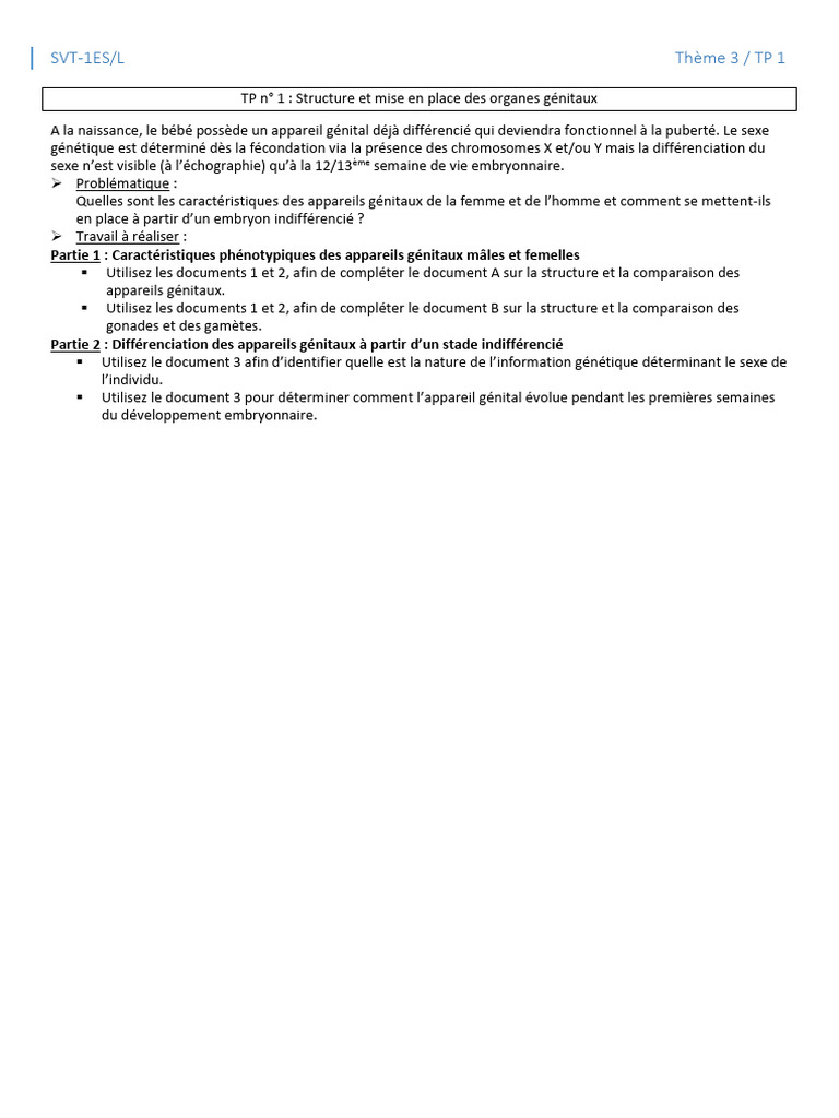 TP 1 Structure Et Mise en Place Des Organes Genitaux | PDF