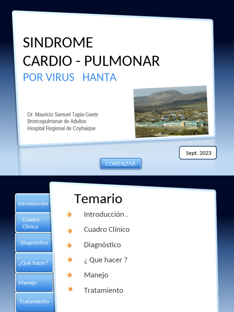 DR M Tapia - Taller Hanta Seremi 2023 - APS | PDF | Causas de la muerte ...