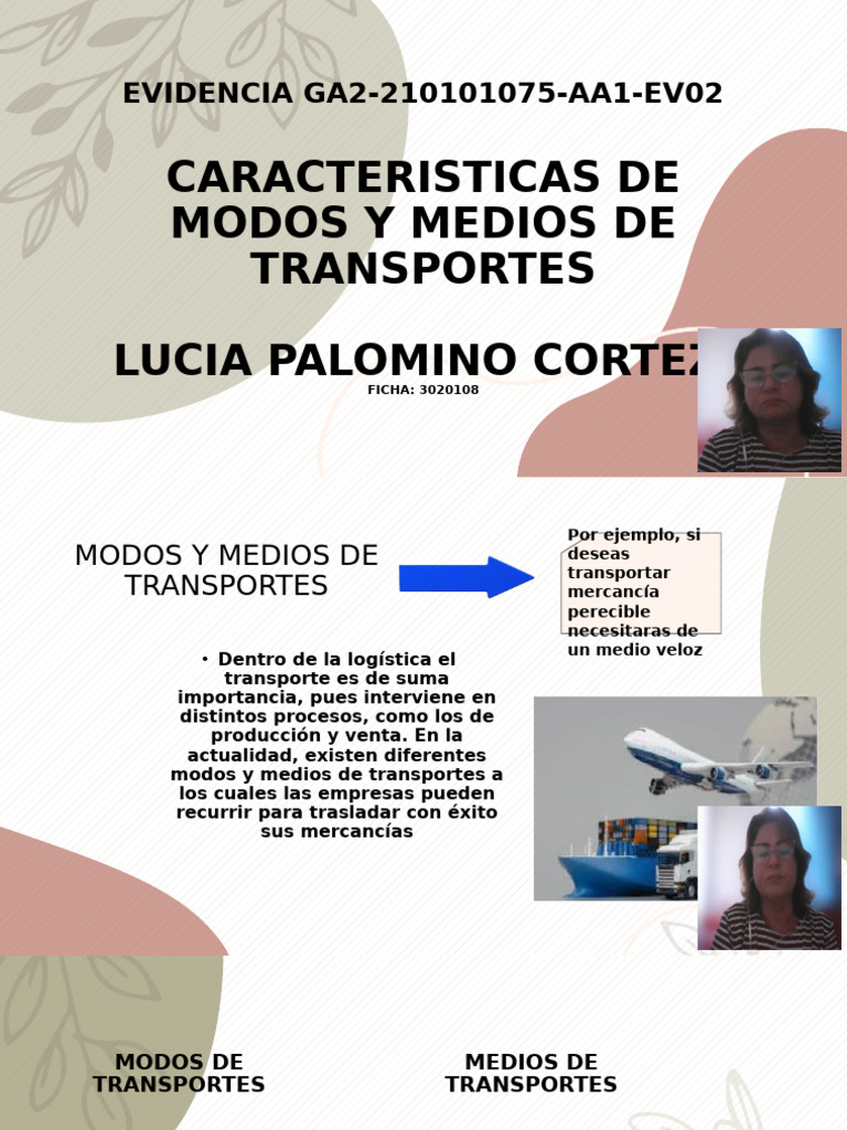 Modos y Medios de Transporte Eficientes | PDF | Transporte | Tren